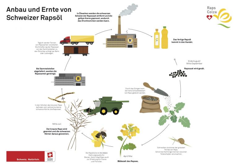TRIOLEINE GmbH - Schweizer Raps